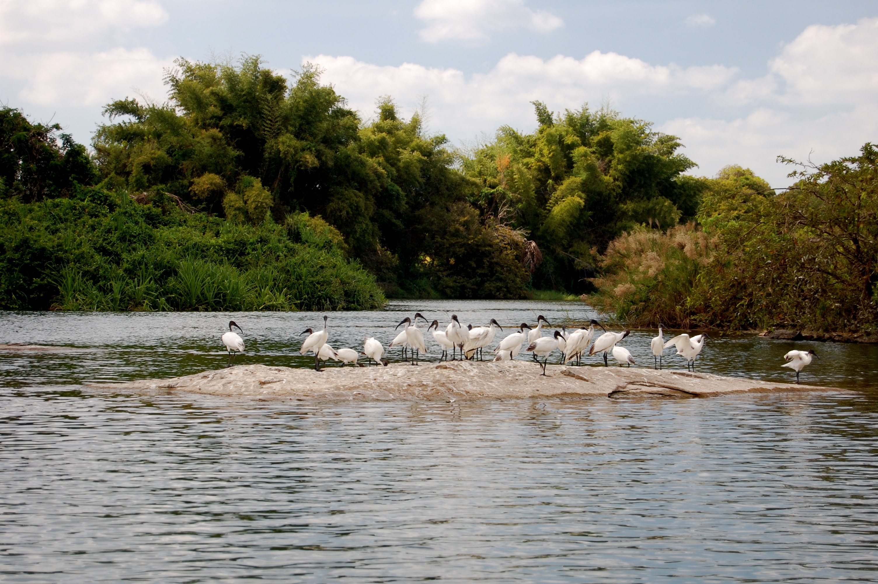 Water Bird Sanctuary - TempleDairy